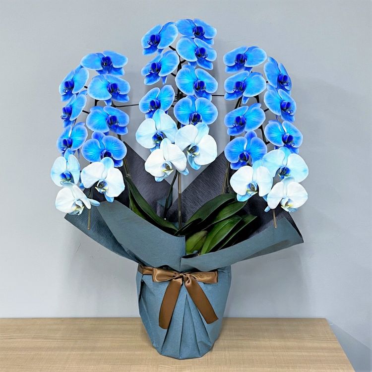 LINK FLORIST | リンクフローリスト